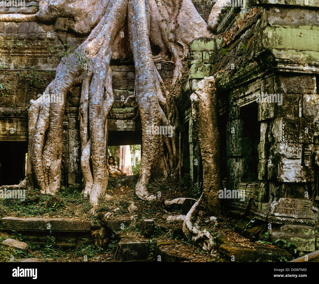 Side courtyard in the interior with a girl, tree roots of the Baing ...