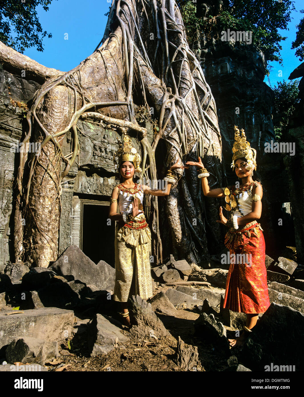 Ta Prohm temple overgrown with huge roots of Tetrameles nudiflora ...