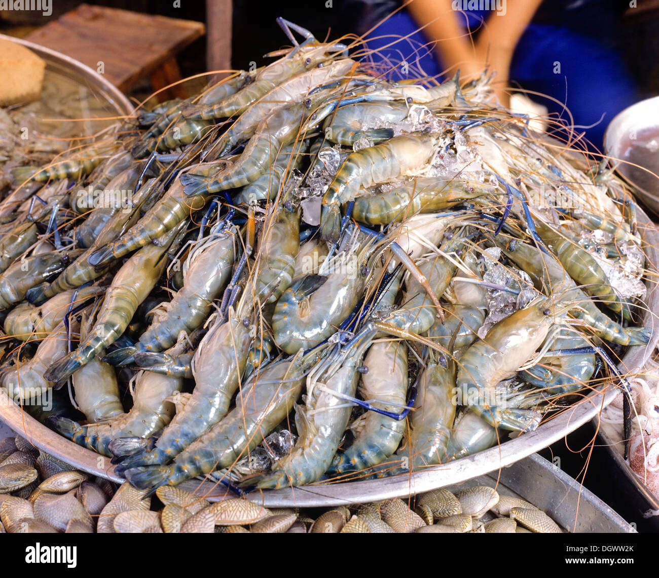 Fresh blue shrimps at the fish market, Thai food, Bangkok, Central ...