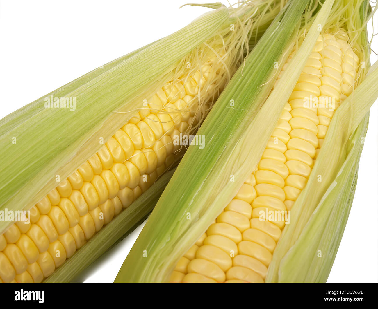 fresh corn with green leaves isolated on white background Stock Photo ...