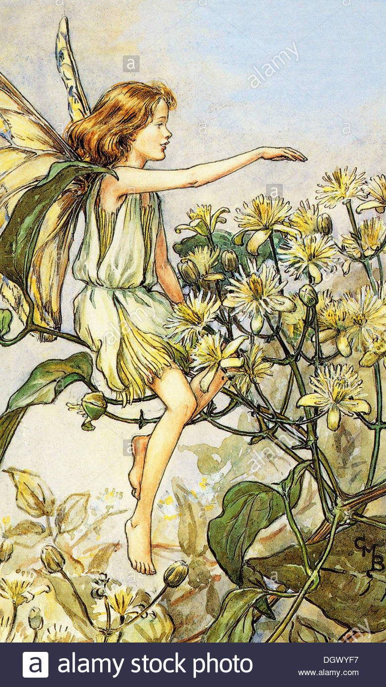 Cicely Mary Barker Flower Fairy High Resolution Stock Photography and ...