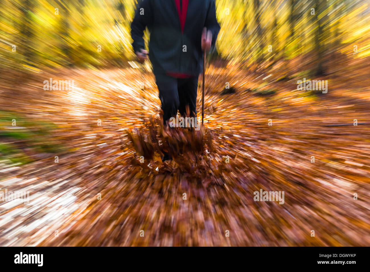 Nordic man in forest hi-res stock photography and images - Alamy