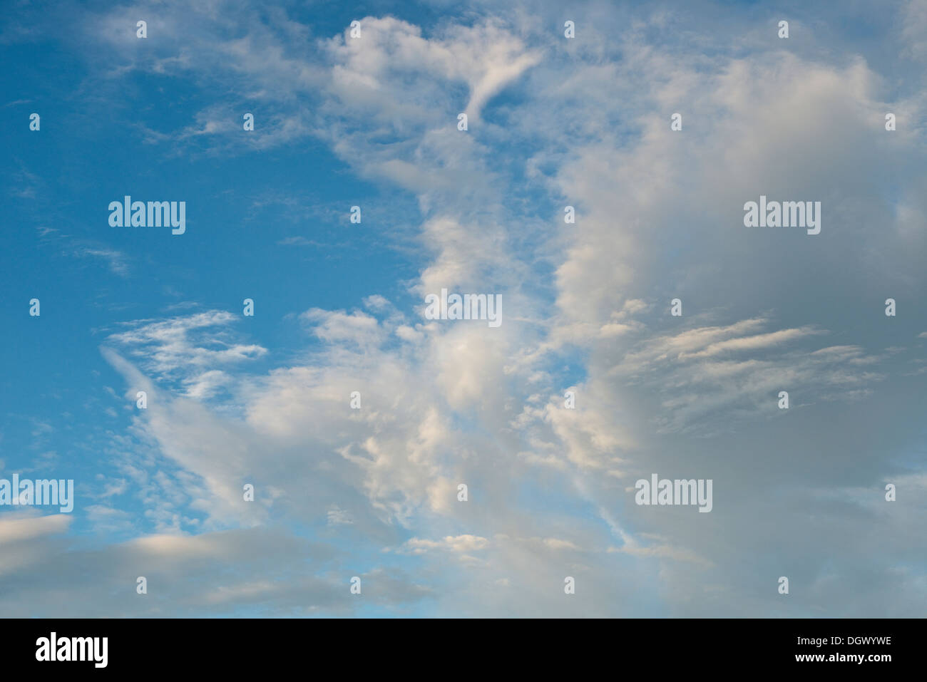 High altitude Cumulus cloud formation Stock Photo - Alamy