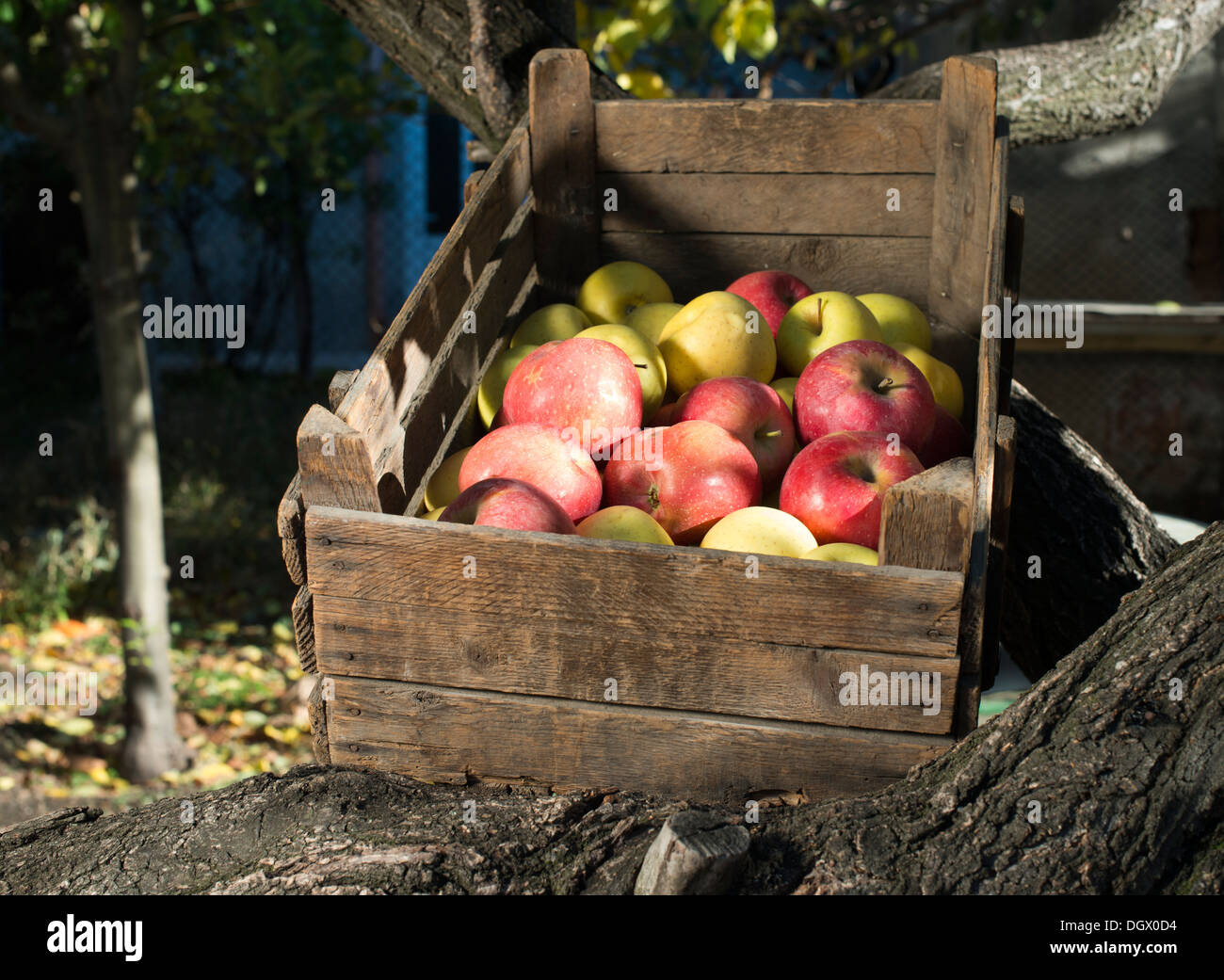 Apple crate hi-res stock photography and images - Alamy