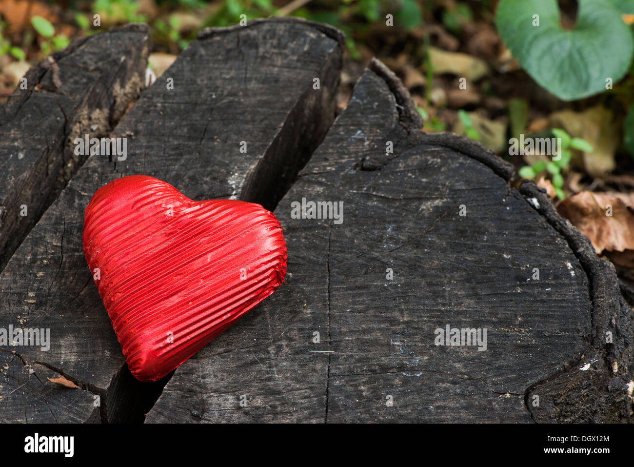 Wrapped heart hi-res stock photography and images - Alamy
