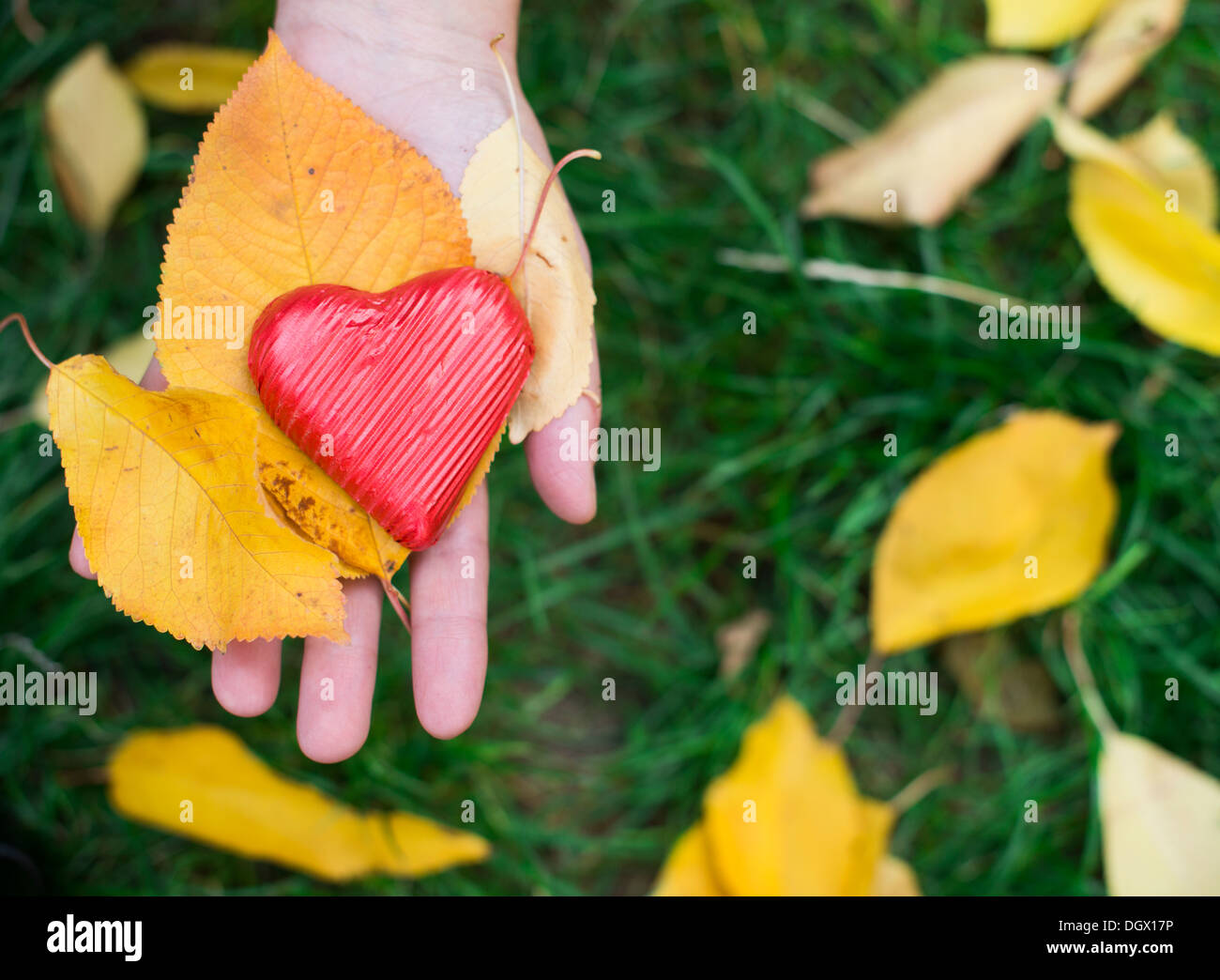 Wrapped hands hi-res stock photography and images - Alamy