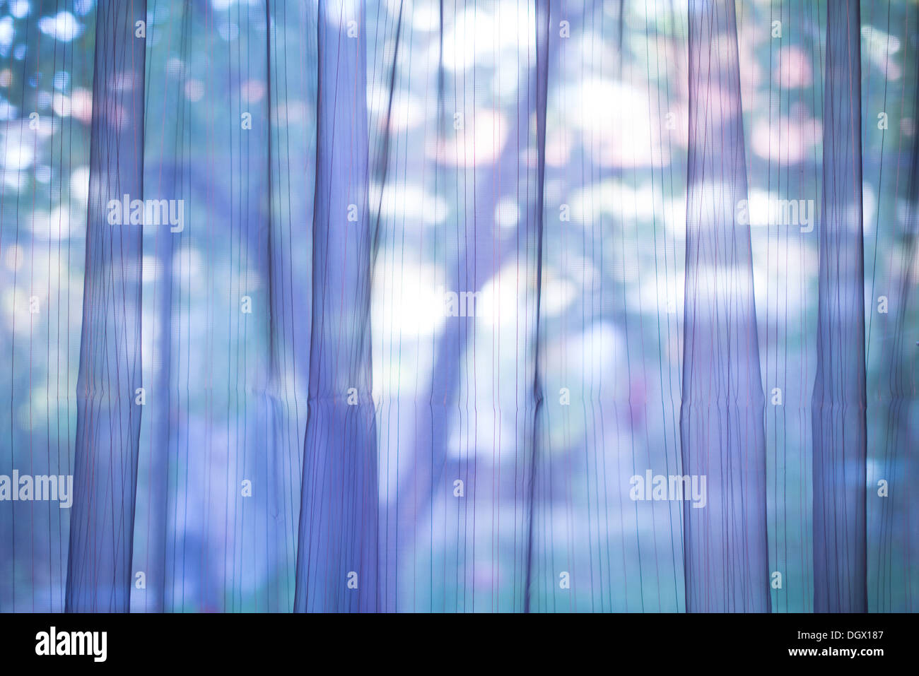Purple transparent curtain on a window Stock Photo - Alamy