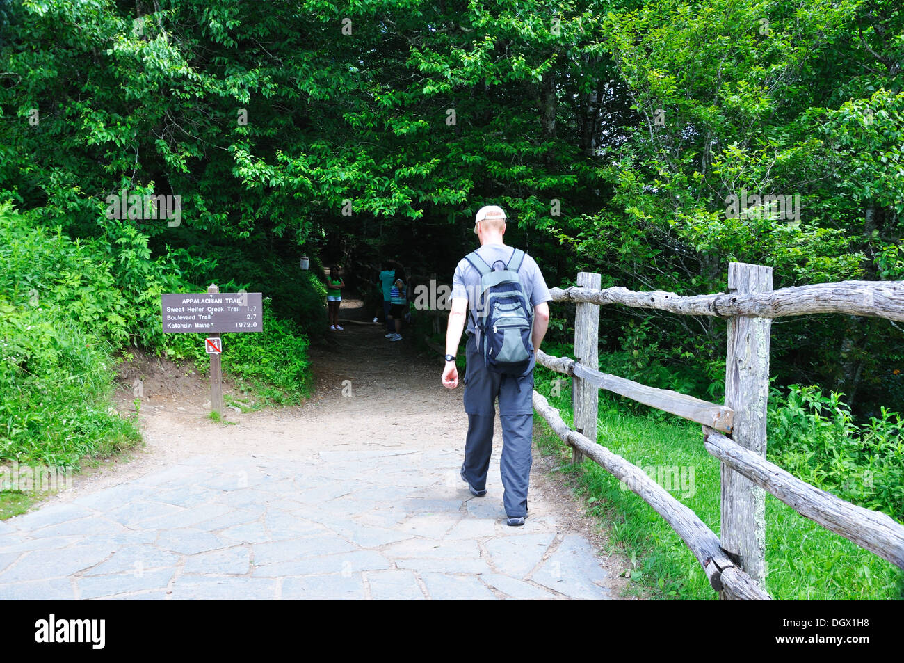 Appalachian trail in Great Smoky Mountains National Park, Tennessee ...