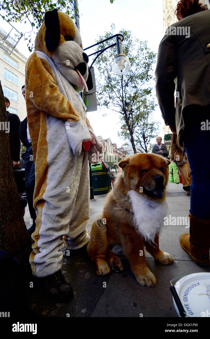 Dog Beard Costume