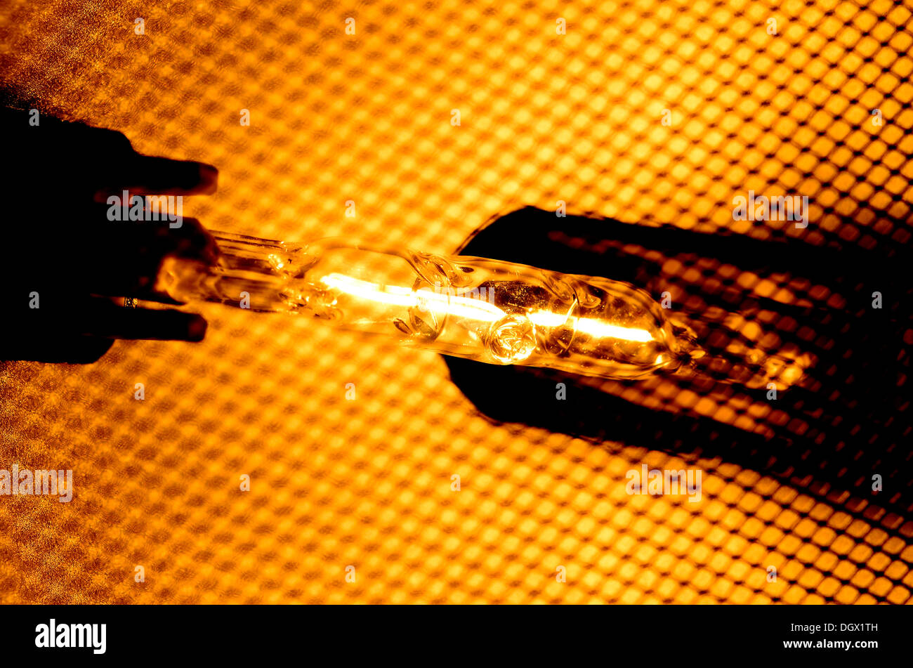 Tungsten Light bulb in a spot light Stock Photo - Alamy