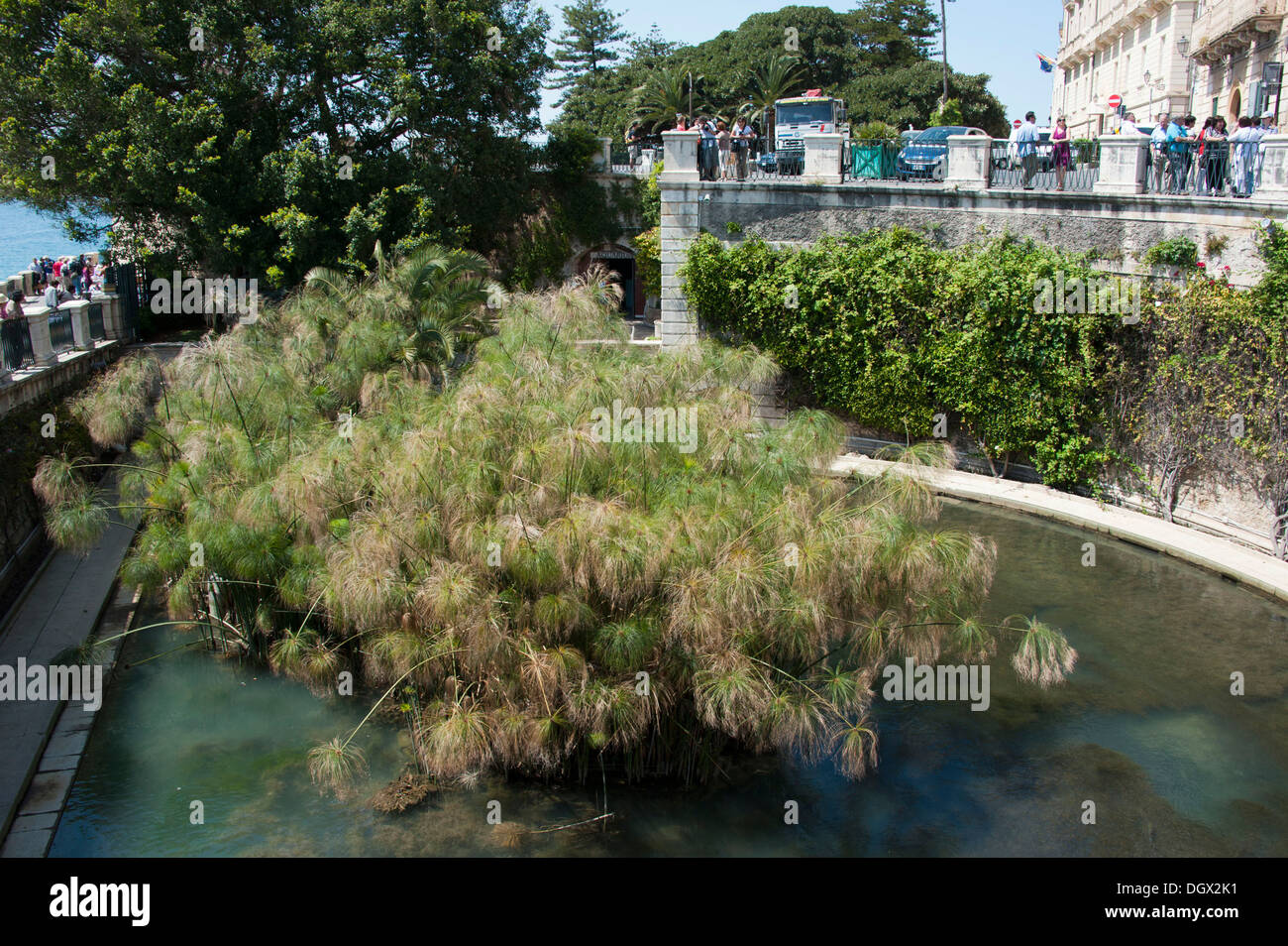 Sicily spring of arethusa hi-res stock photography and images - Alamy