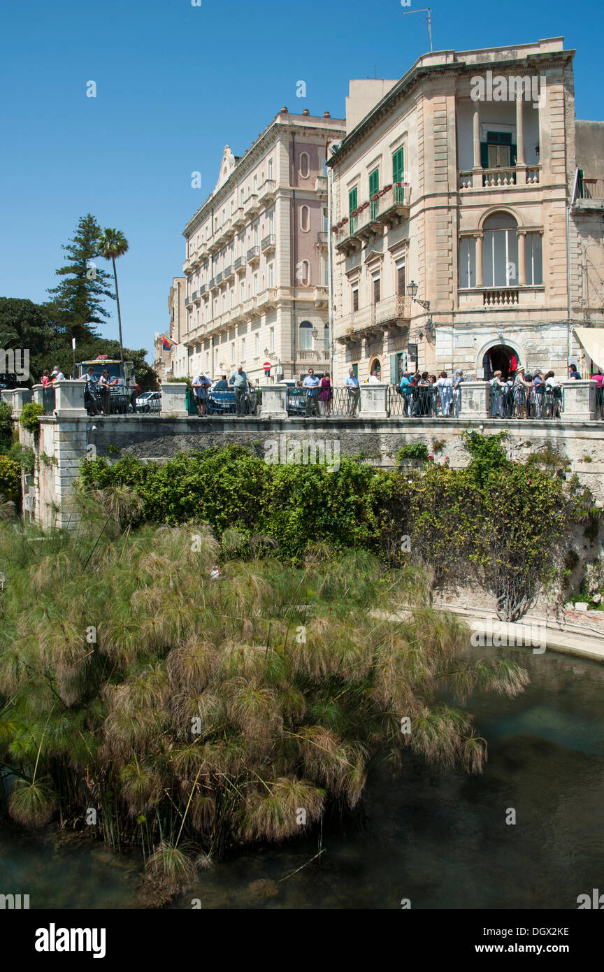 Sicily spring of arethusa hi-res stock photography and images - Alamy
