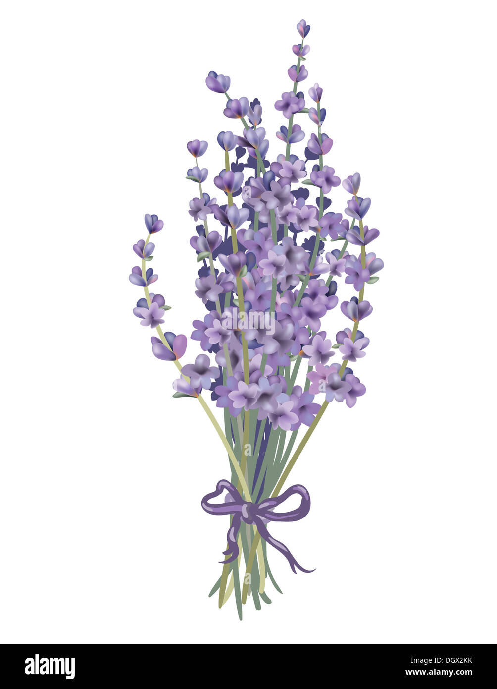 Coloured lavender bouquet. Objects can be easily regrouped. Drawn with ...