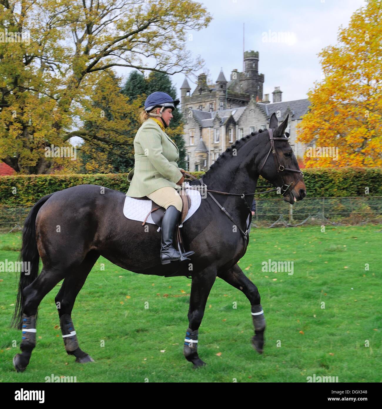 Scotland hunting horse hi-res stock photography and images - Alamy