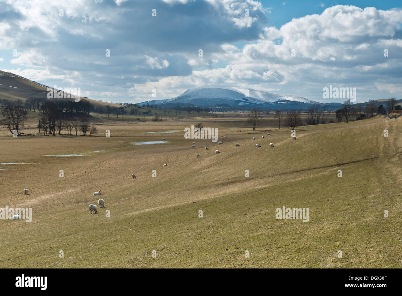 Scottish borders scenery hi-res stock photography and images - Alamy