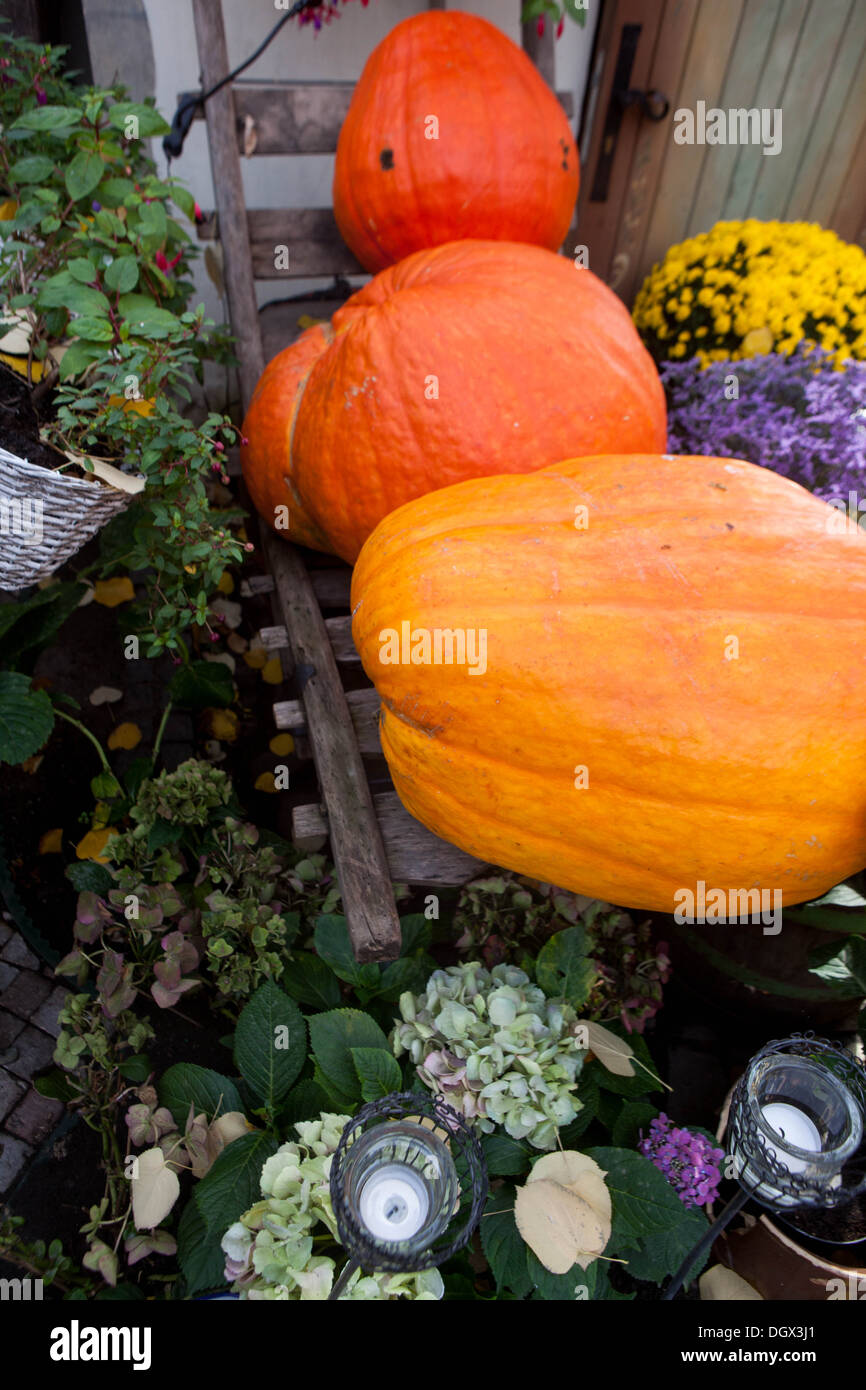 Seasonal produce display hi-res stock photography and images - Alamy