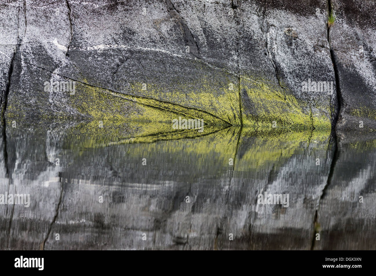 Moss and granite cliff reflections #2, Mussel Creek, mid-coast British ...