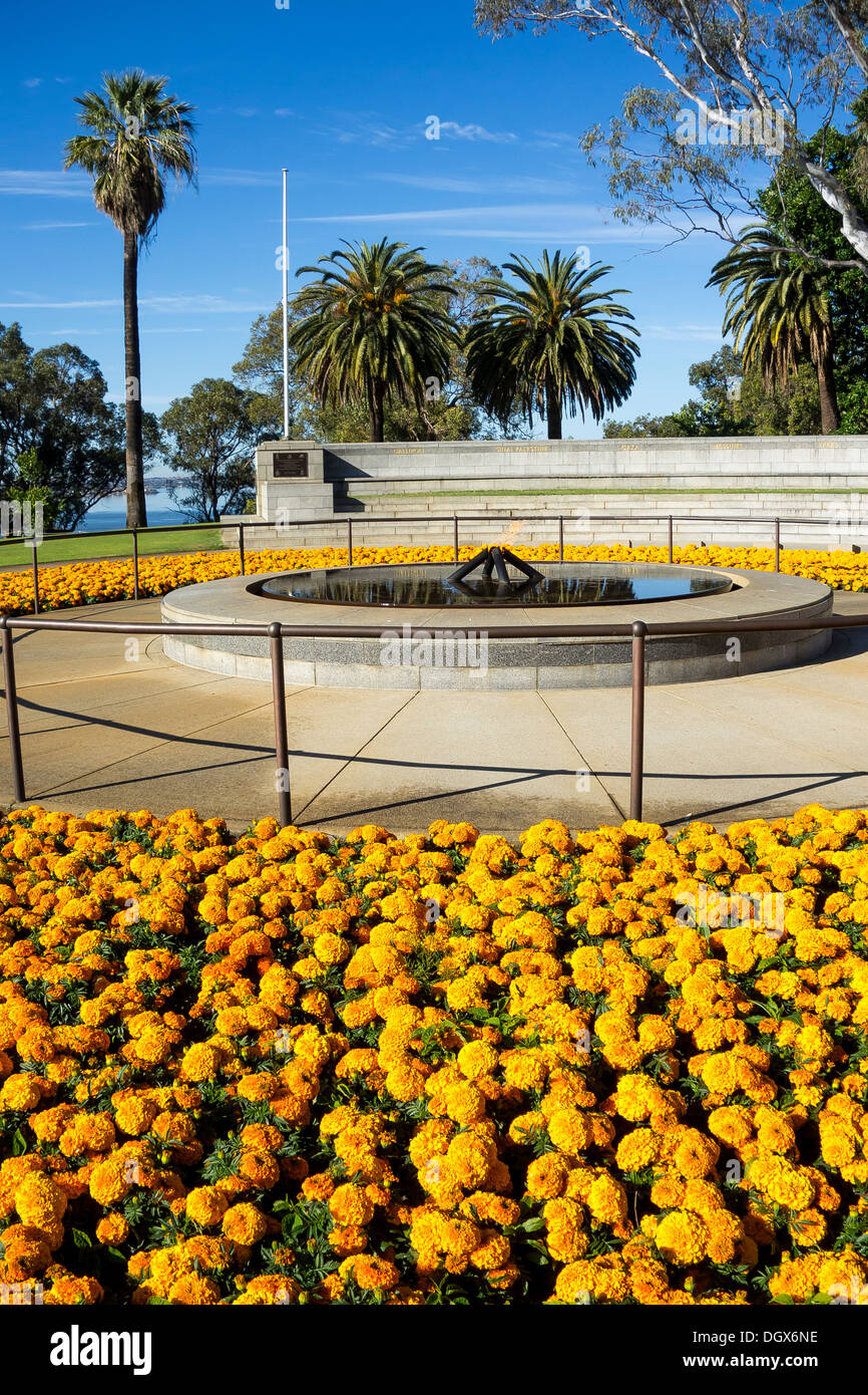 Kings park and botanical garden hi-res stock photography and images - Alamy