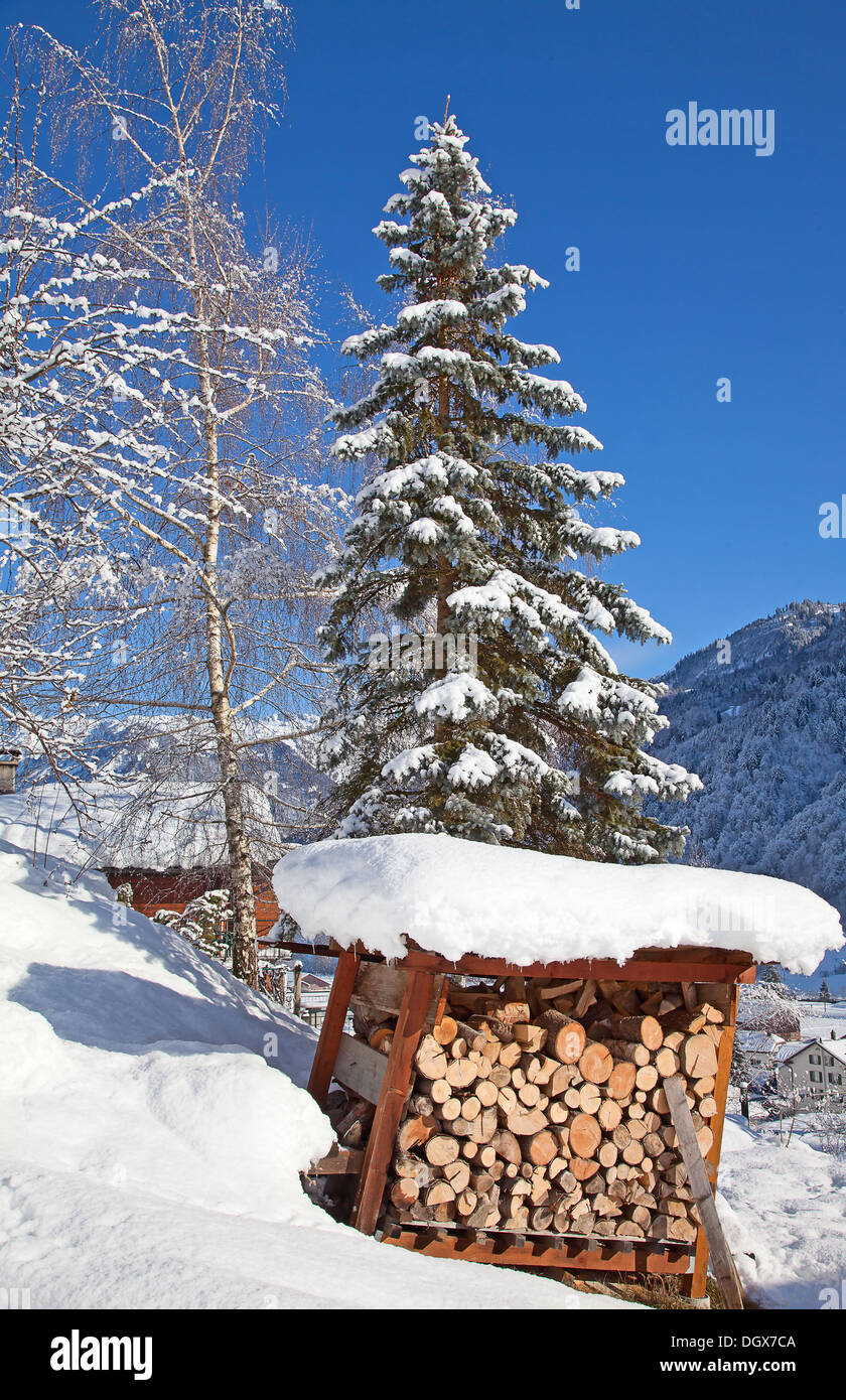 Typical swiss winter season landscape. January 2011, Switzerland Stock ...