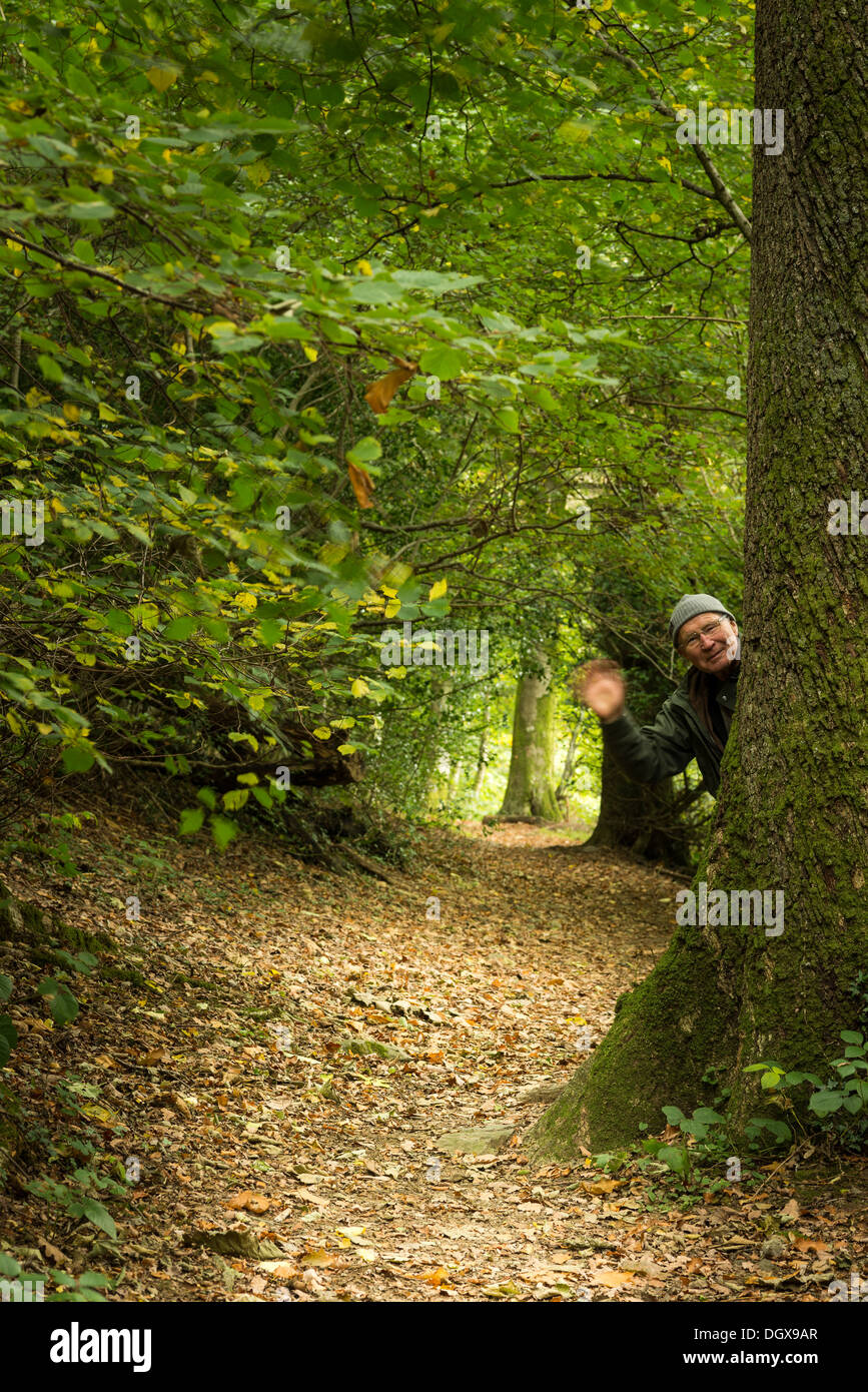 Trunk waving hi-res stock photography and images - Alamy