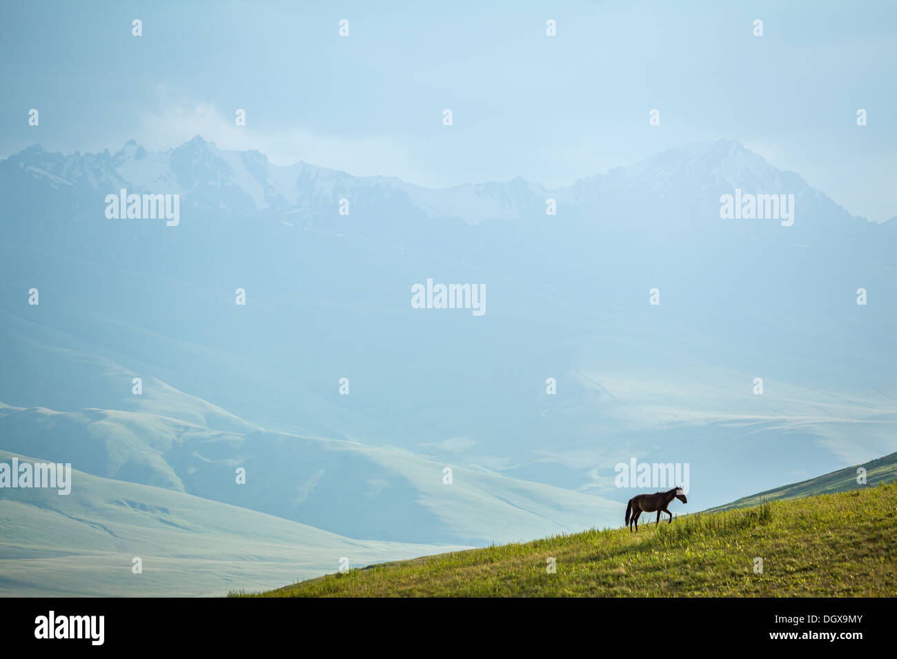 Peak of the horse ranch mountain hi-res stock photography and images ...