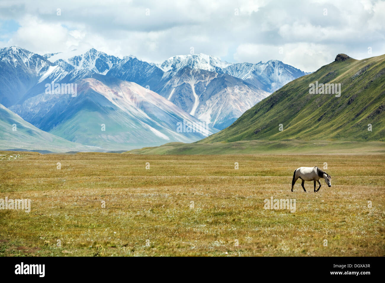 Peak of the horse ranch mountain hi-res stock photography and images ...