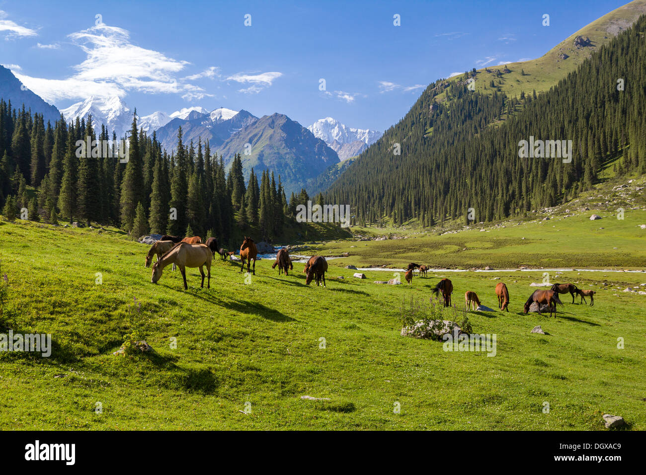 Peak of the horse ranch mountain hi-res stock photography and images ...
