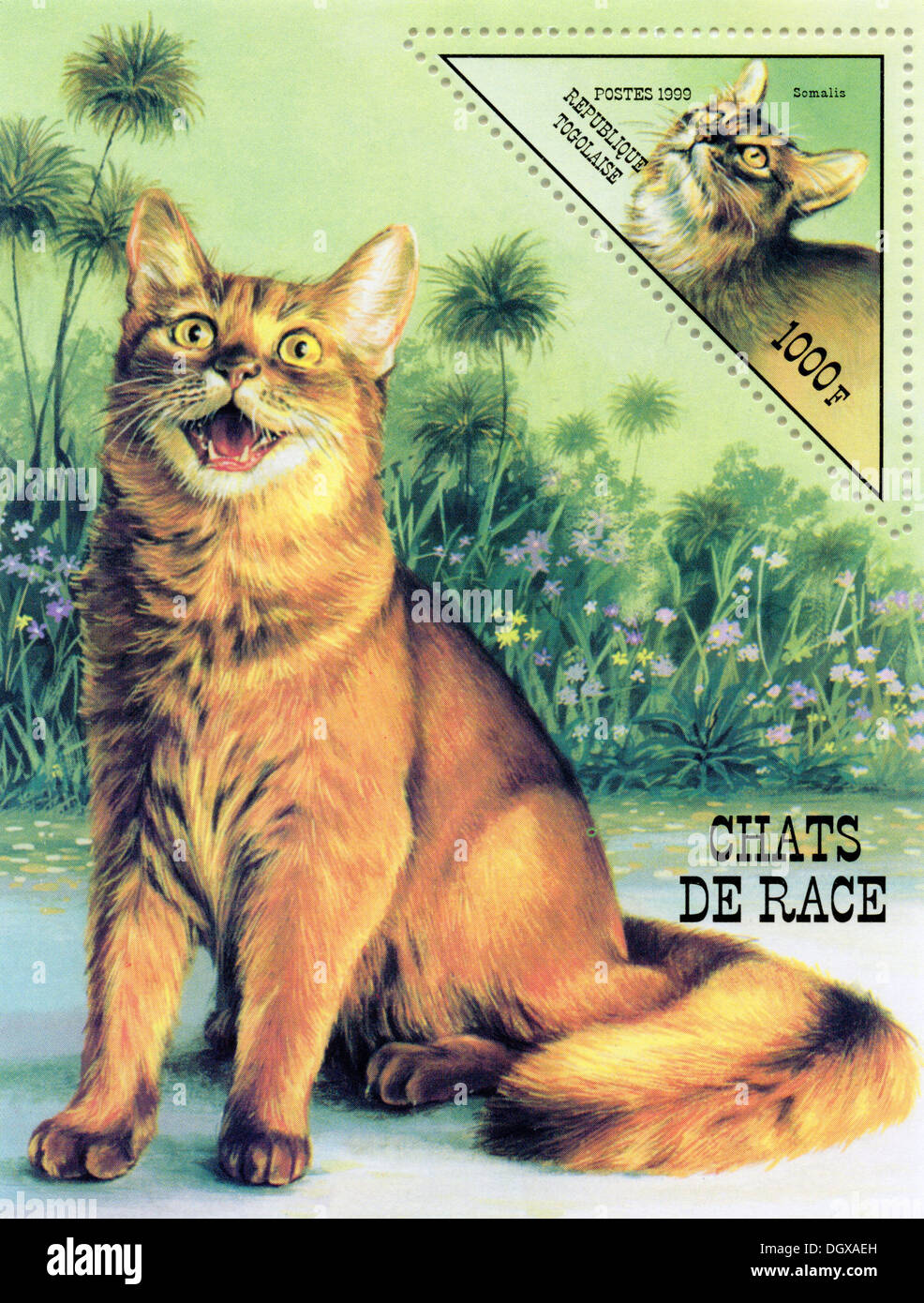 Postage cat hi-res stock photography and images - Alamy