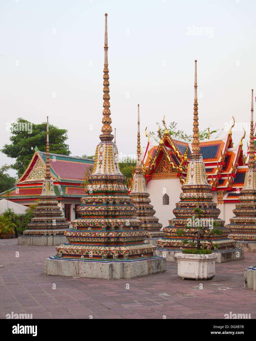 Giant pho tree hi-res stock photography and images - Alamy