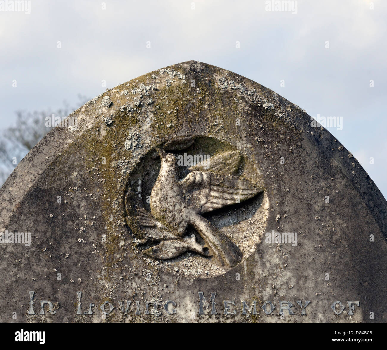 Detail of gravestone with dove and olive branch design. Chapel of Rest ...
