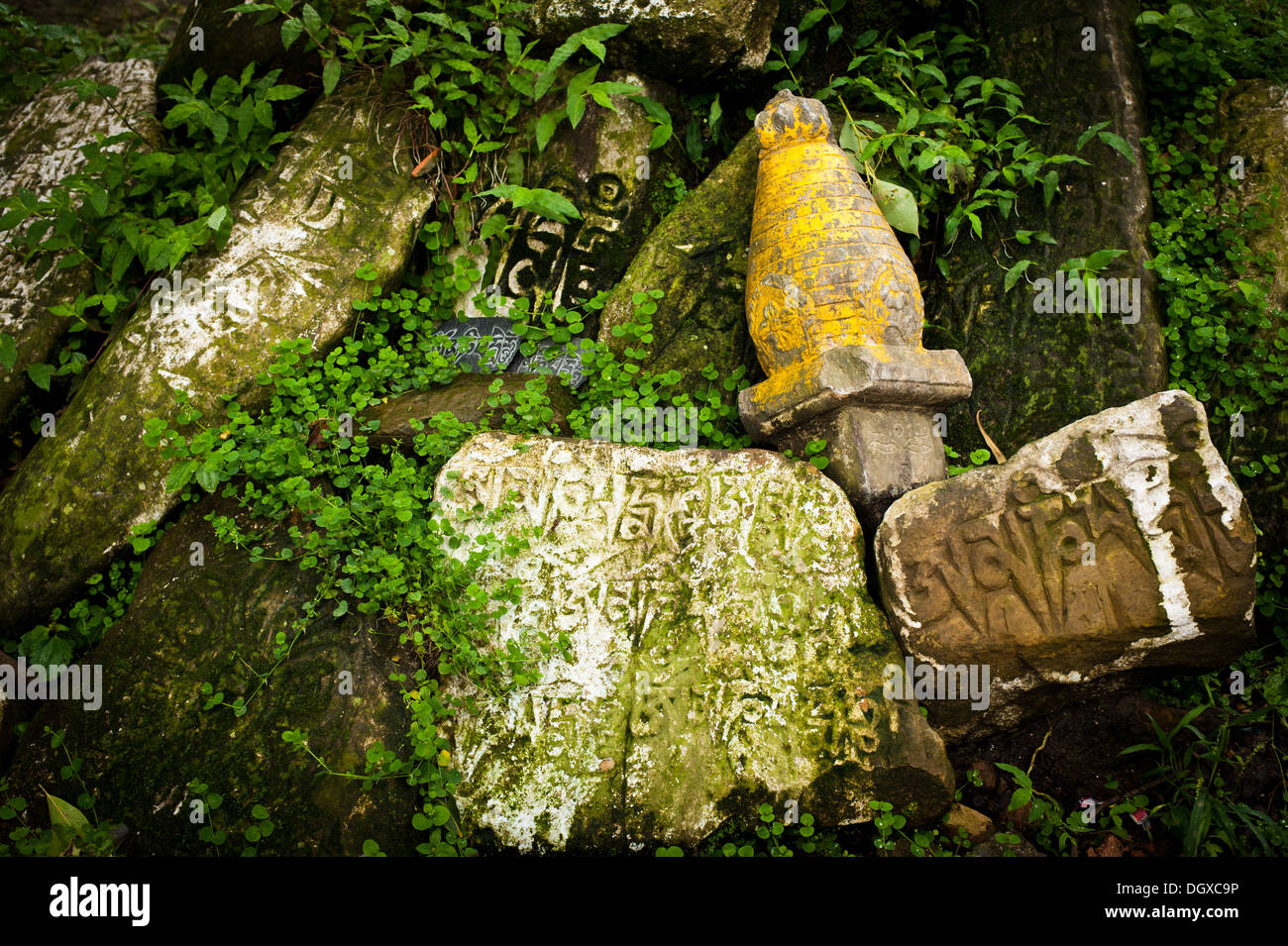 Ancient Buddhist prayer stones with written mantra Stock Photo - Alamy