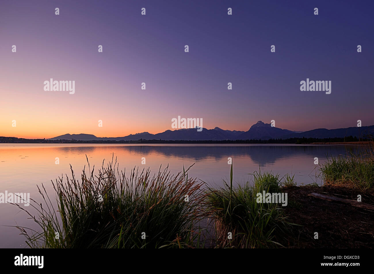 Blue hour with mountain lake and alpine peaks, Hopfensee lake, Bavaria ...
