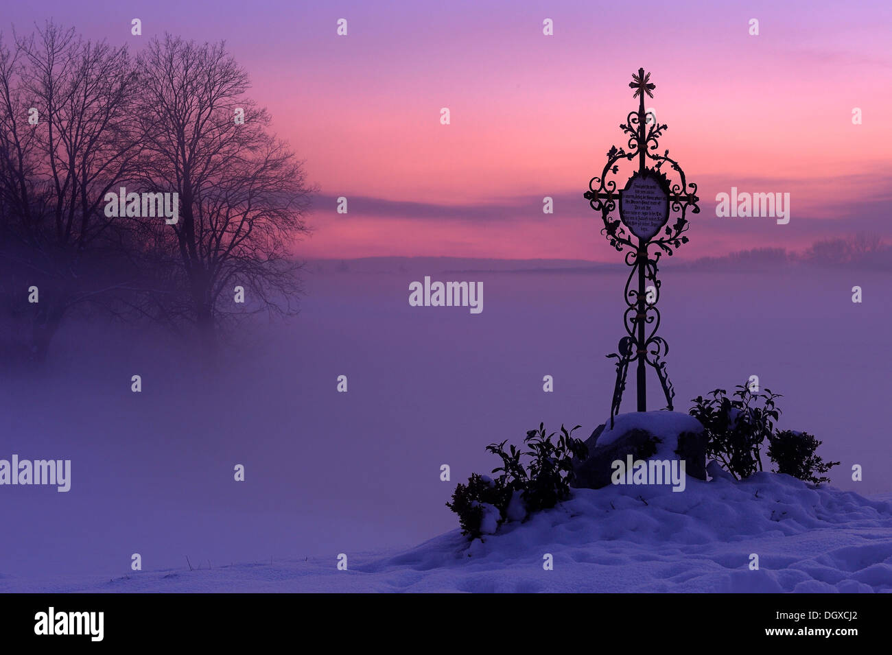 Wayside cross in a field with fog and snow at the blue hour, Mindelheim ...