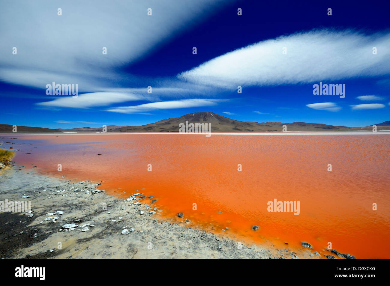 Laguna colorada bolivia hi-res stock photography and images - Alamy