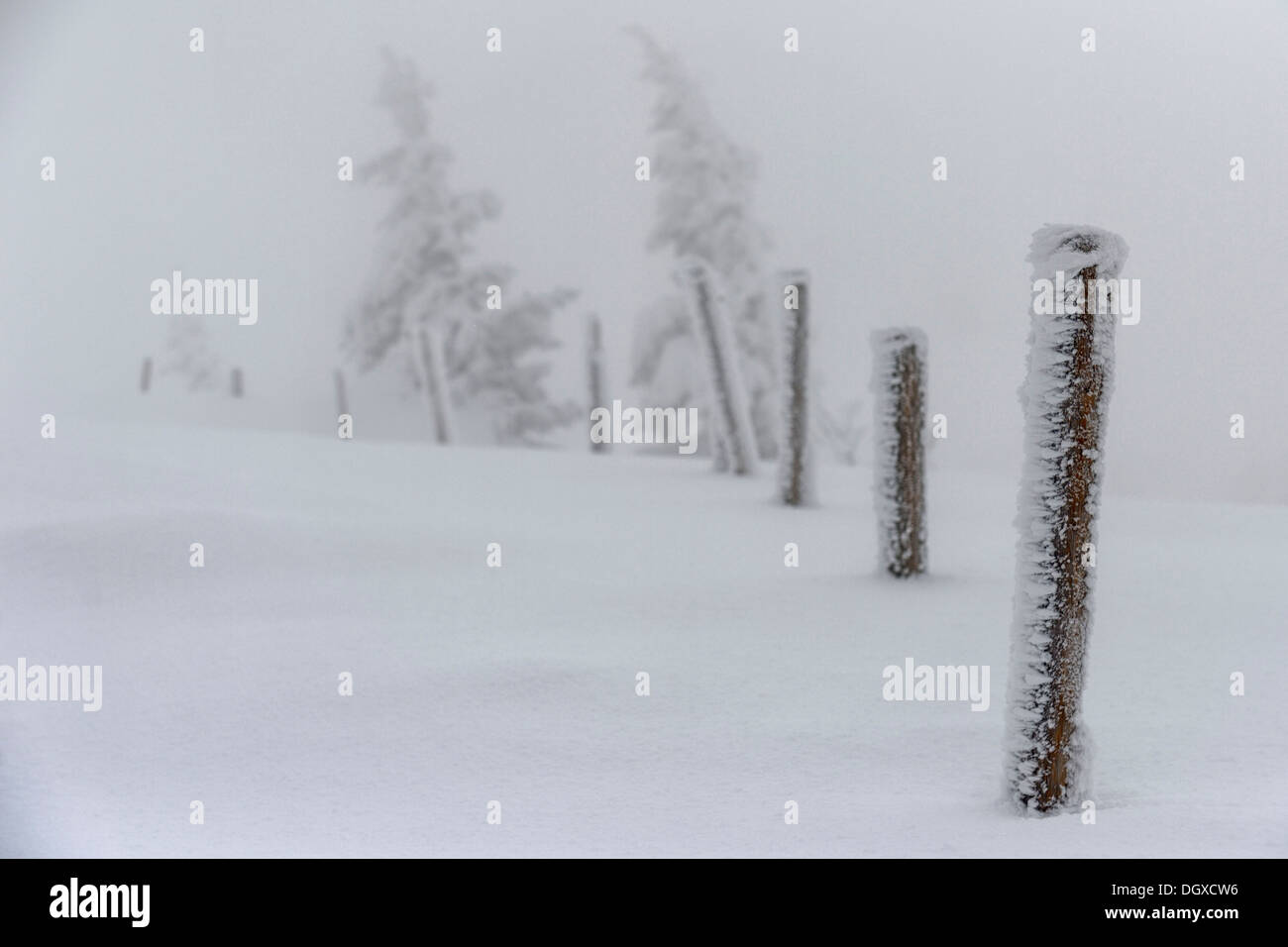 Covered poles hi-res stock photography and images - Alamy