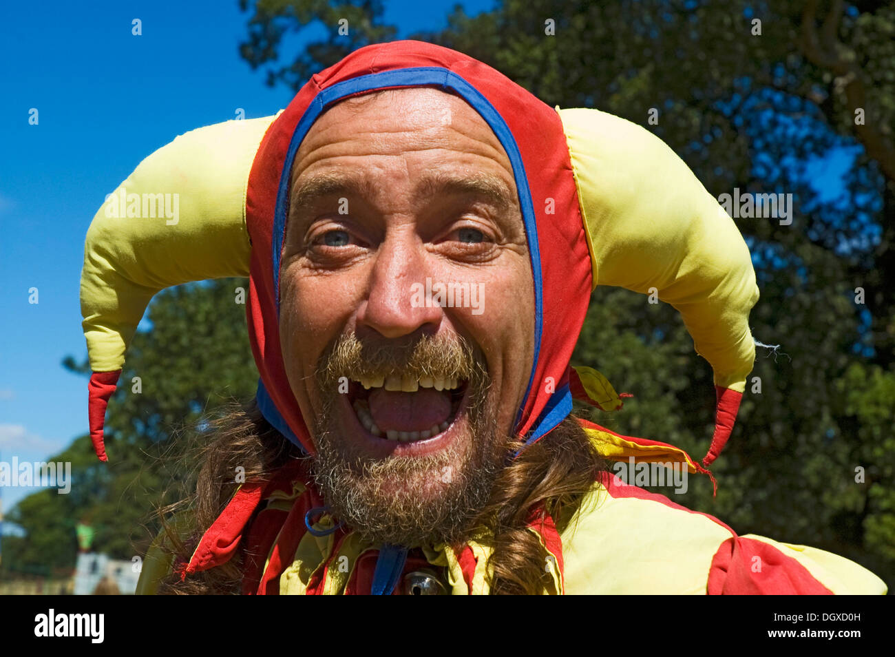 Court jester hi-res stock photography and images - Alamy
