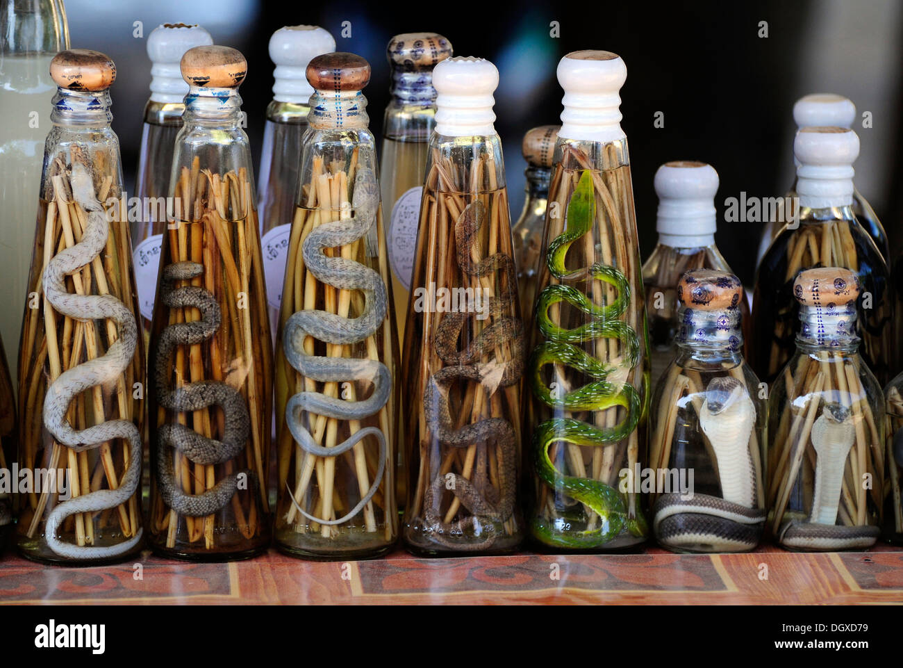 Cobras and other dead snakes in bottles of liquor, Laos, Southeast Asia ...