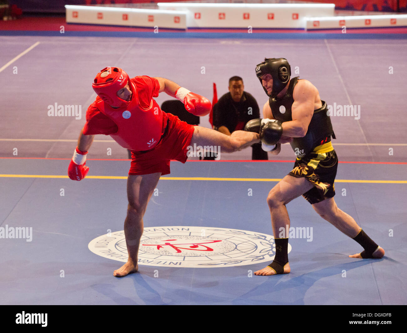 Wushu Sanda Wallpaper