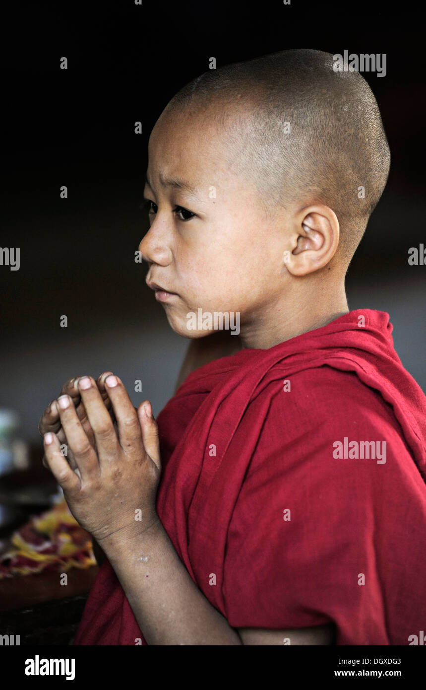 Buddhist novice praying in a monastery, Myanmar, Burma, Southeast Asia ...