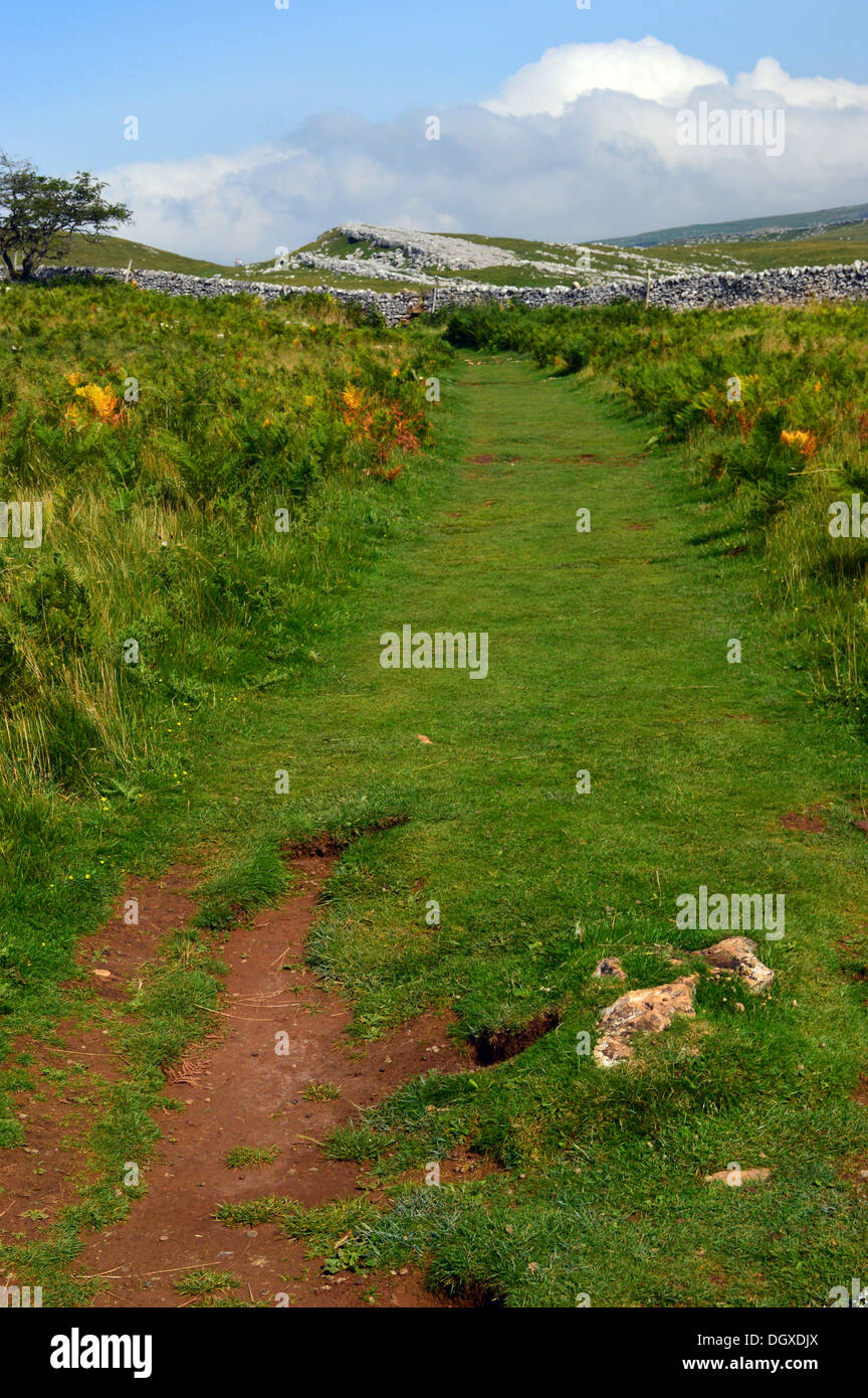 Footpath leading up to a Limestone Valley on the Dales Way Long ...