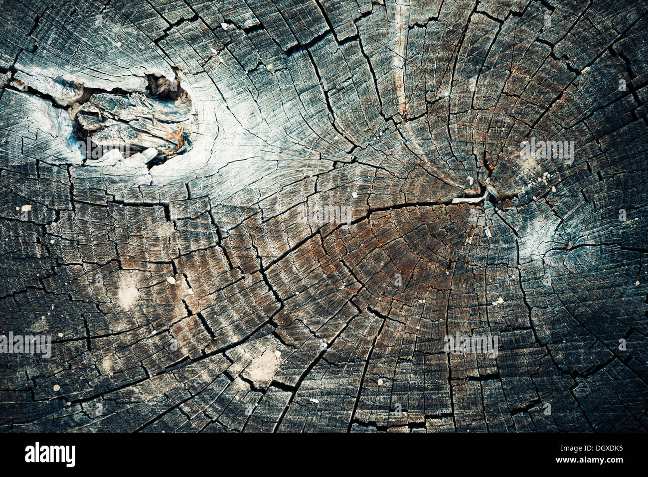 rough dark old cut tree texture closeup Stock Photo - Alamy