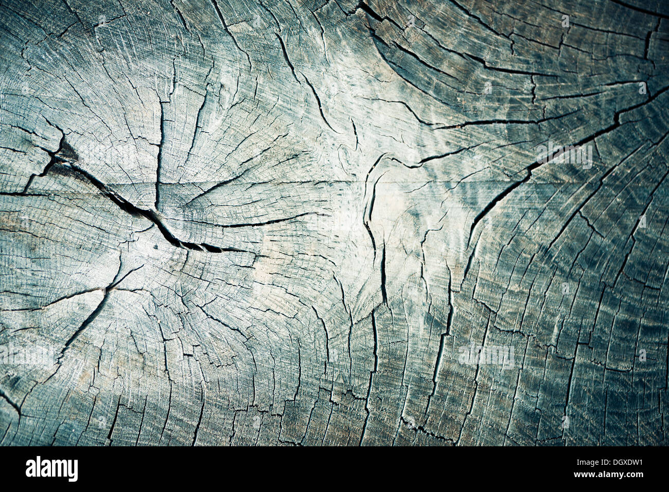 rough dark old cut tree texture closeup Stock Photo - Alamy
