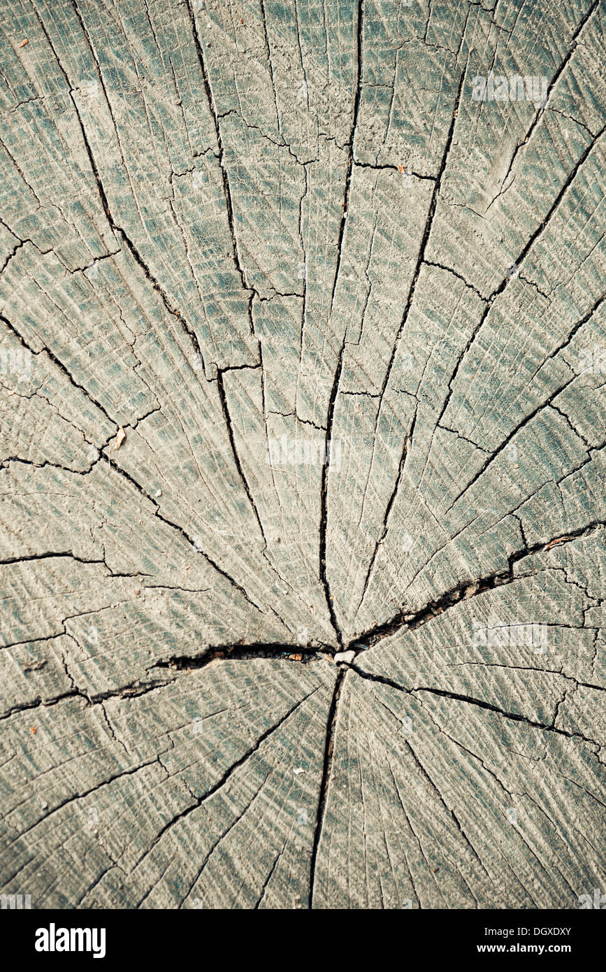 rough dark old cut tree texture closeup Stock Photo - Alamy