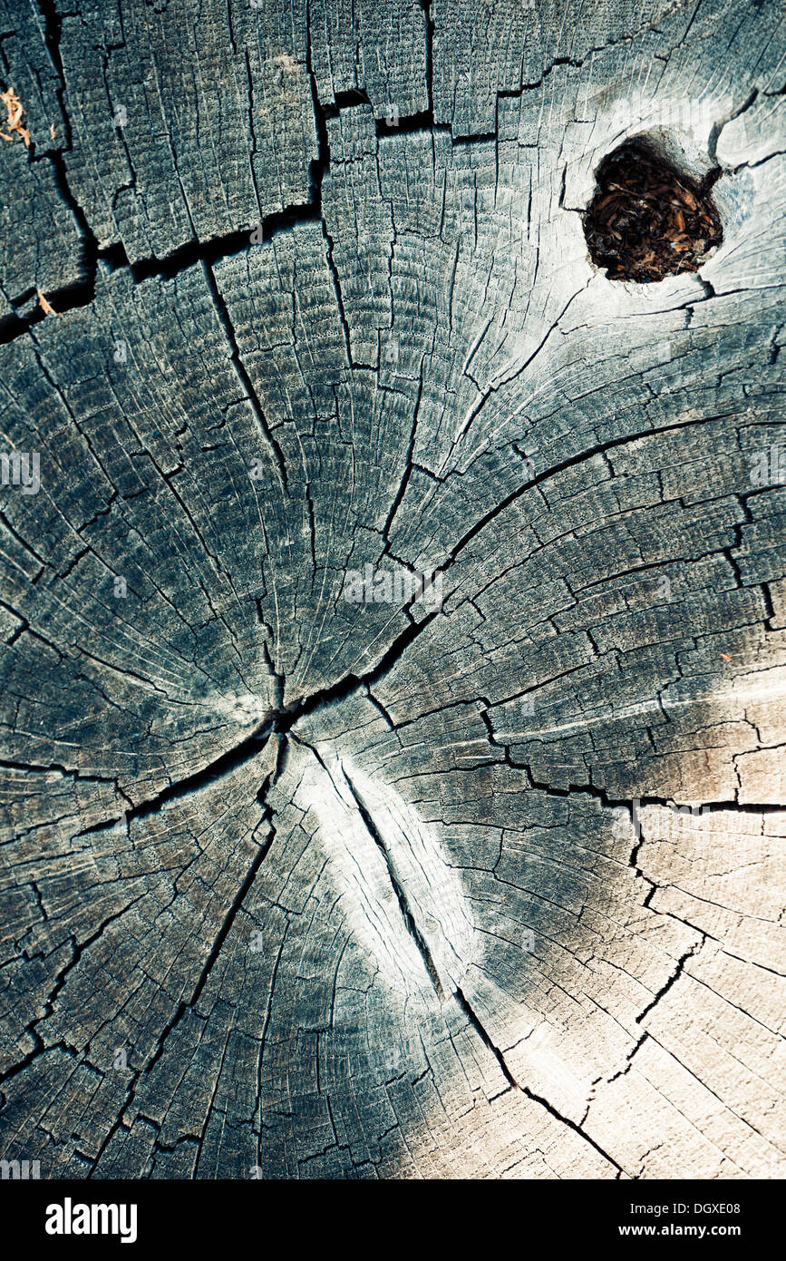 Dark circles patterns hi-res stock photography and images - Alamy