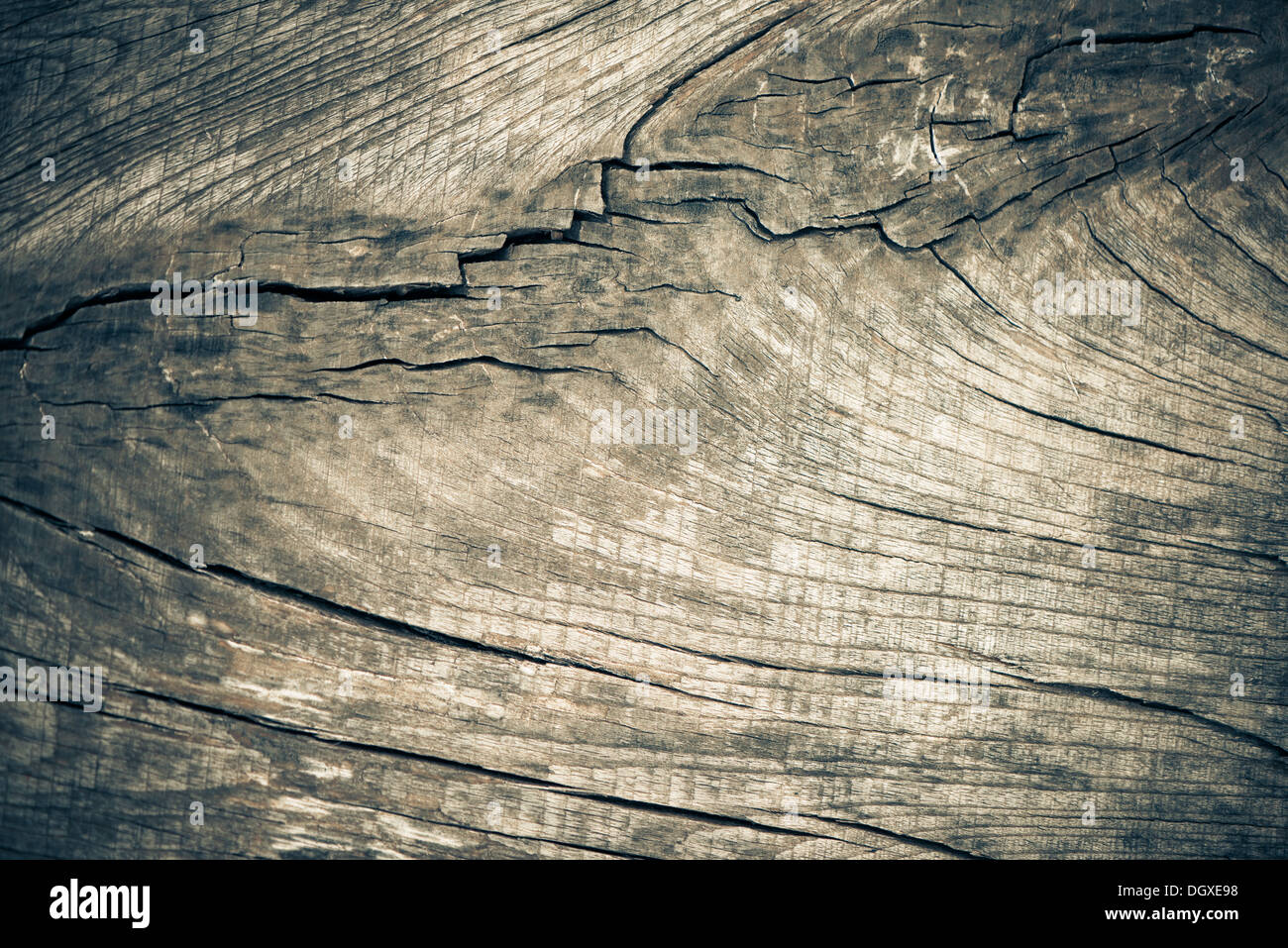 rough dark old cut tree texture closeup Stock Photo - Alamy