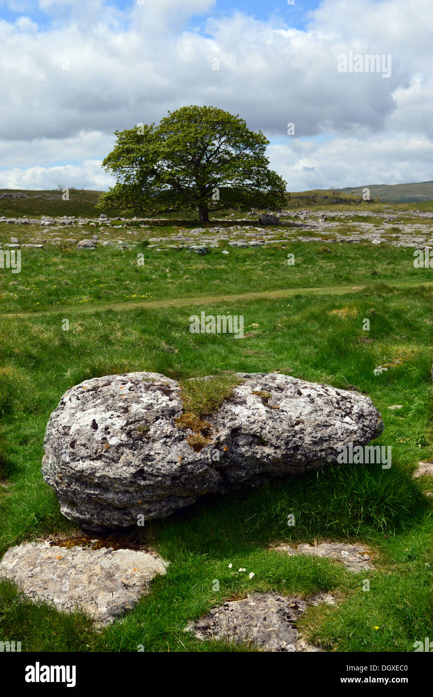 Ice age boulder hi-res stock photography and images - Alamy