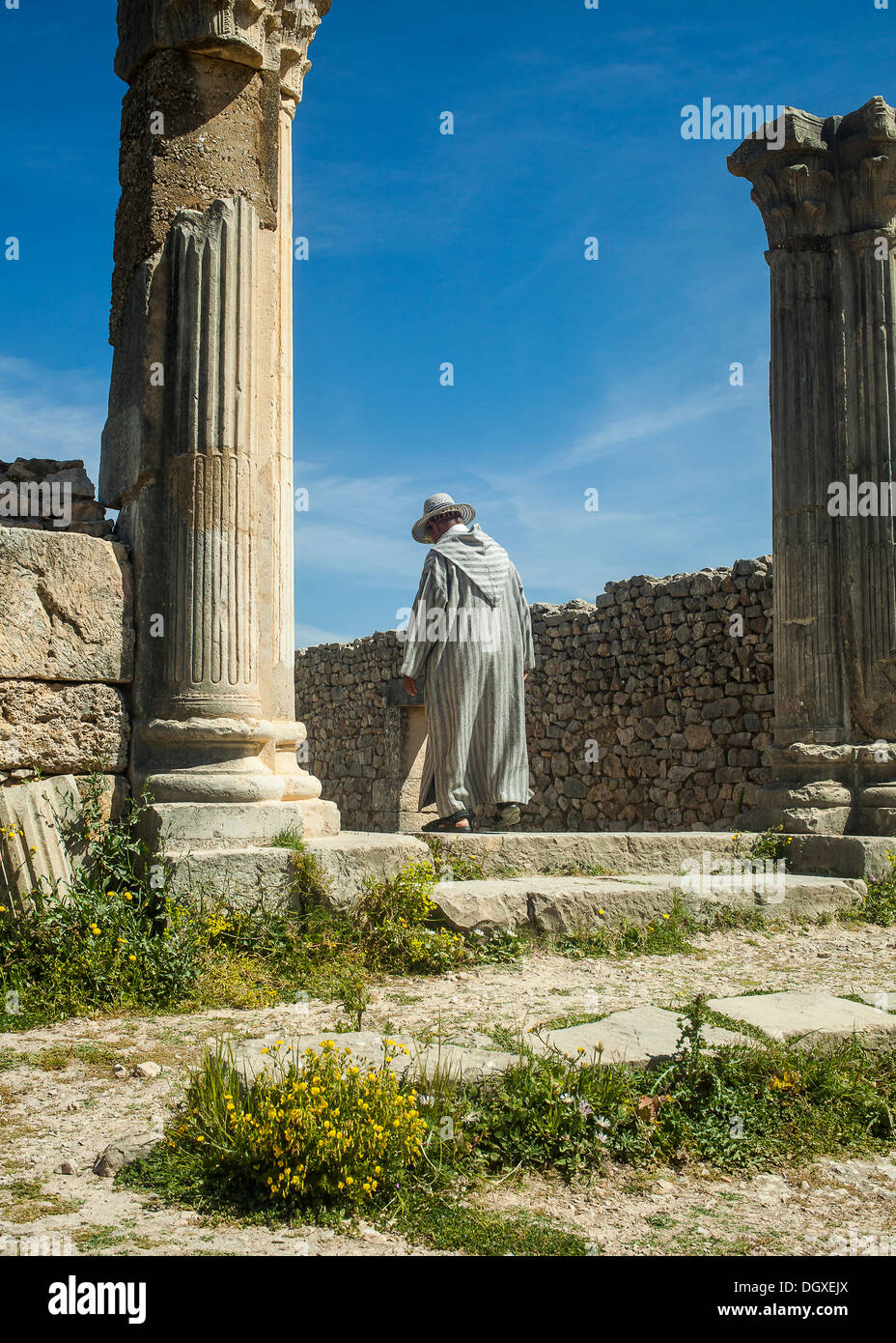 Volubilis historic site hi-res stock photography and images - Alamy