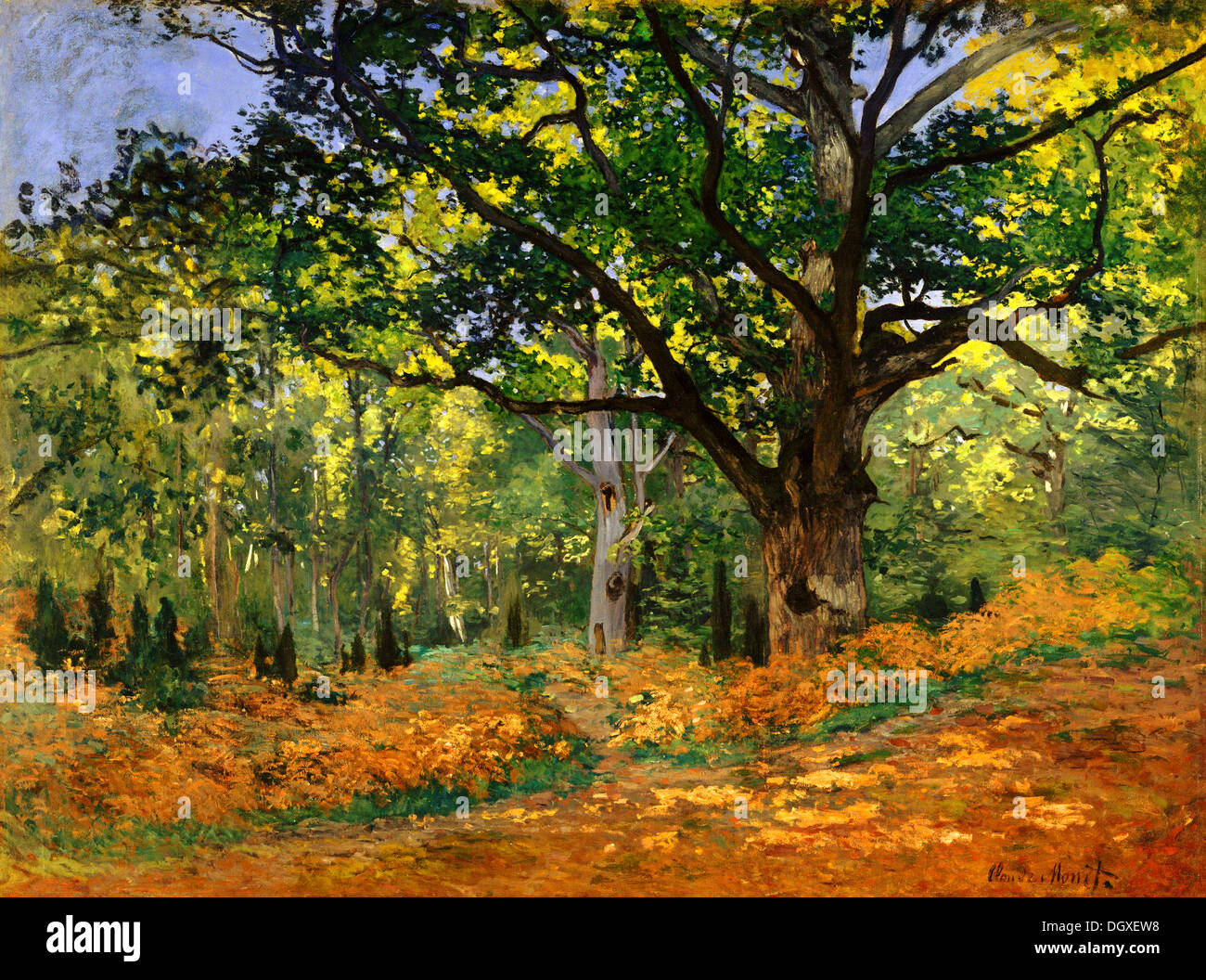 The Bodmer Oak, Fontainebleau Forest - by Claude Monet, 1865 Stock ...
