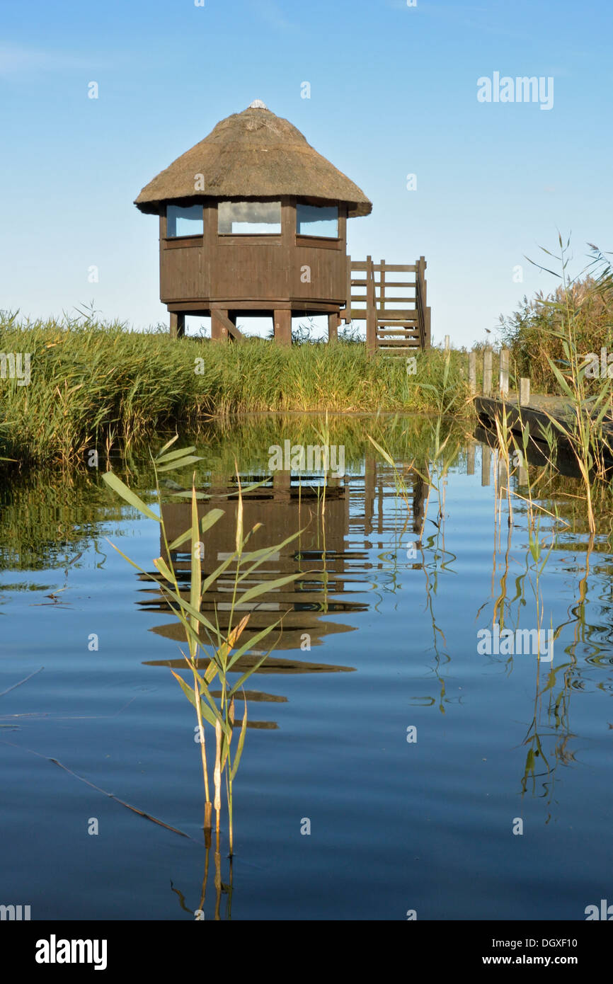 Bird observation tower at Hickling Broad, Norfolk, UK, Broads National ...