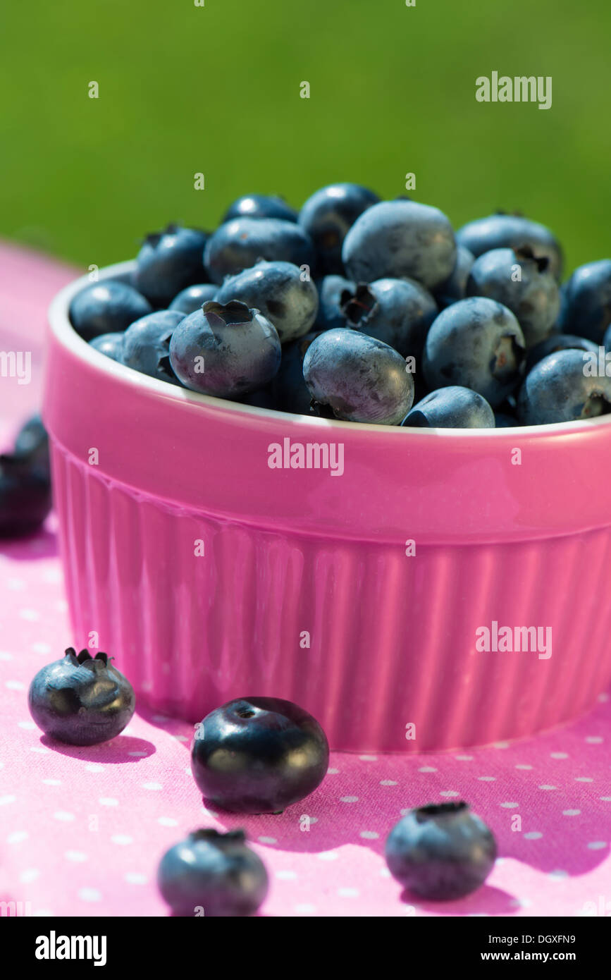 Blueberries hi-res stock photography and images - Alamy